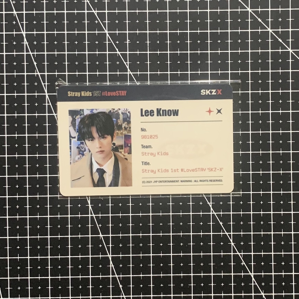 Jual STRAY KIDS OFFICIAL PHOTOCARDS & POLAROID & LENTICULAR | Shopee ...