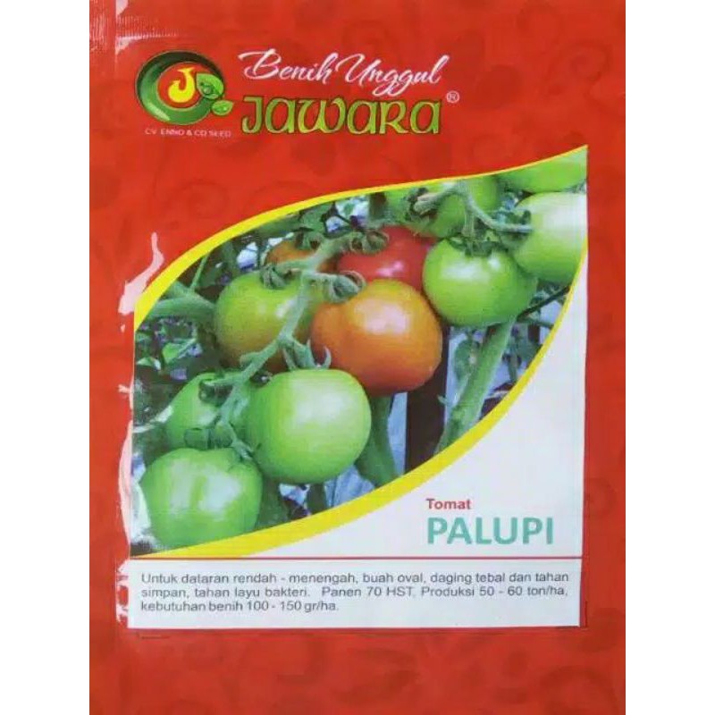 Jual Benih unggul Tomat " Palupi " 5 gram ( sekitar 1250 seeds ...
