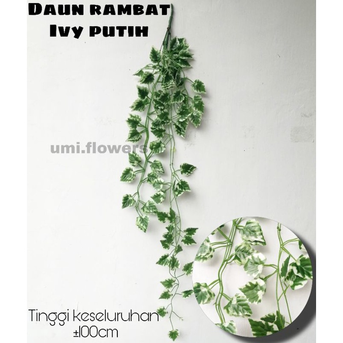 Jual Aneka macam Daun rambat artificial | Shopee Indonesia
