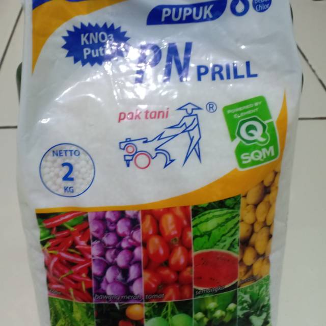 Jual 2KG PUPUK KN03 | KNO3 PUTIH 100% original | UNTUK BUNGA DAN BUAH | Shopee Indonesia