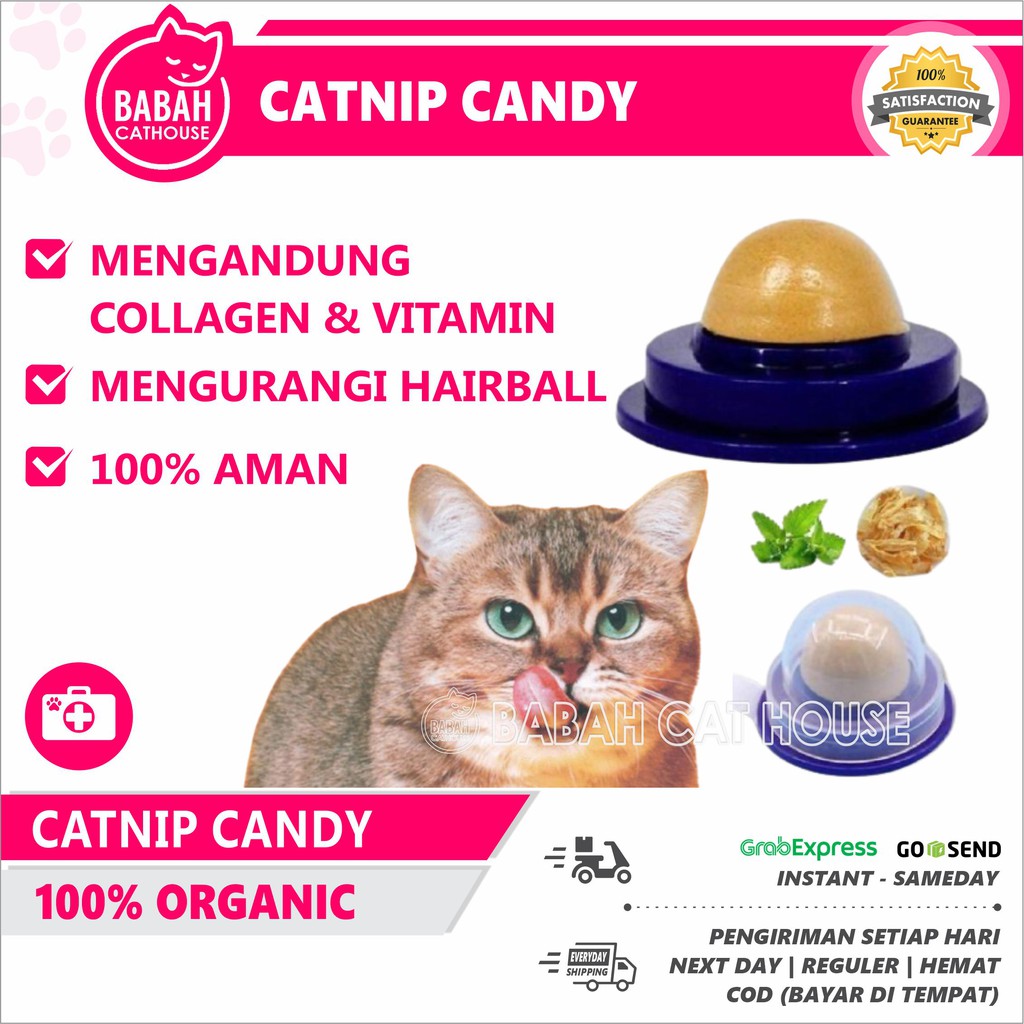 Jual Catnip CANDY Permen Kucing Vitamin Cemilan Catmint Snack Anti ...