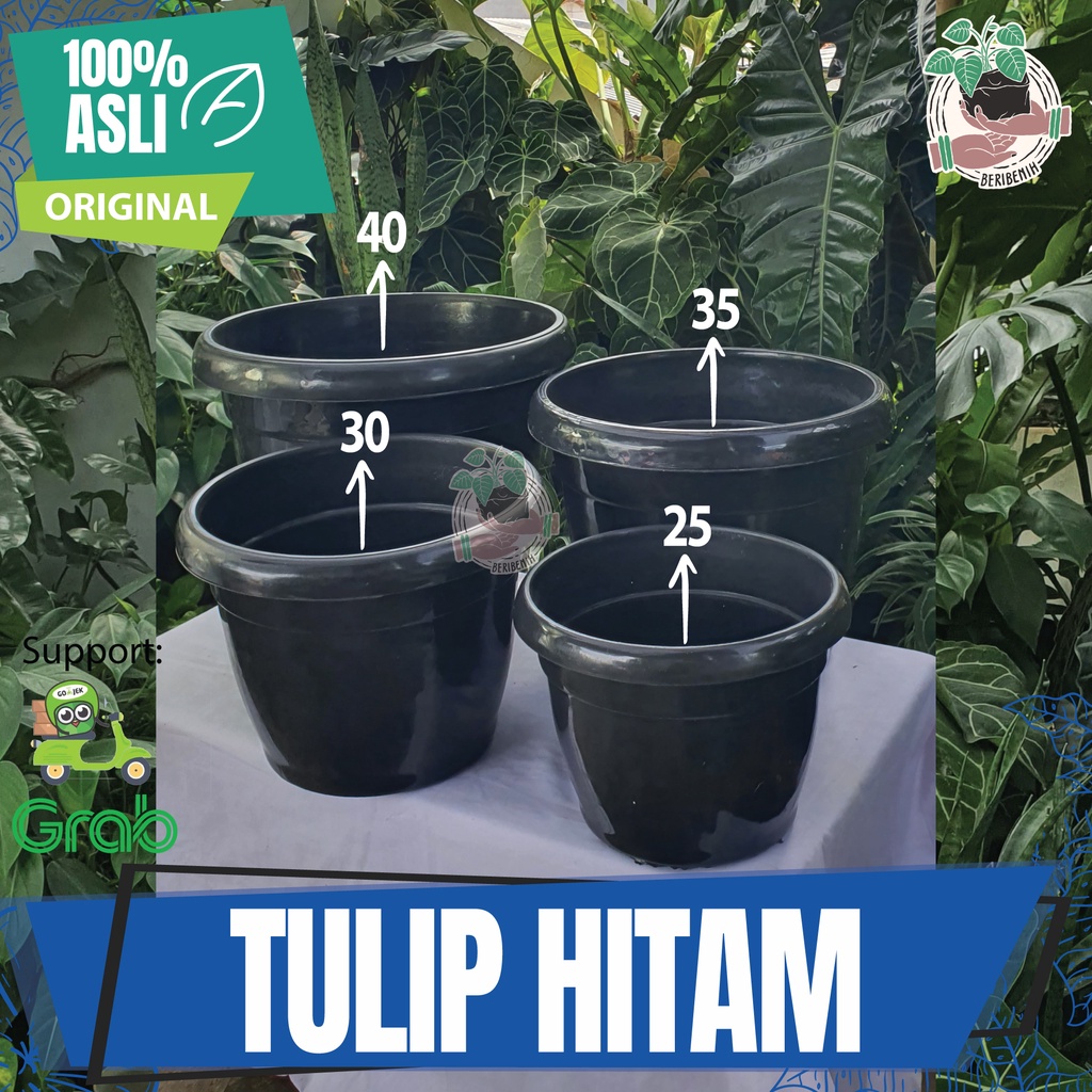 Jual POT Tulip Pot Bunga Tanaman Hias Pot Kuping Plastik Hitam Polos ...