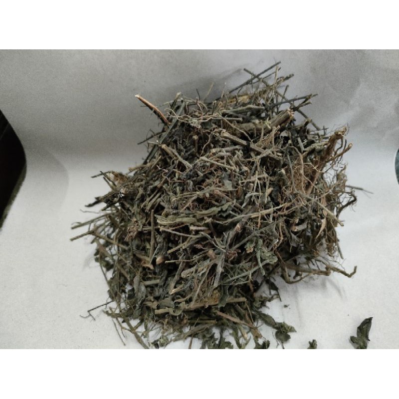 Jual Chuan xin Lian daun sambiloto kering 100 gram | Shopee Indonesia