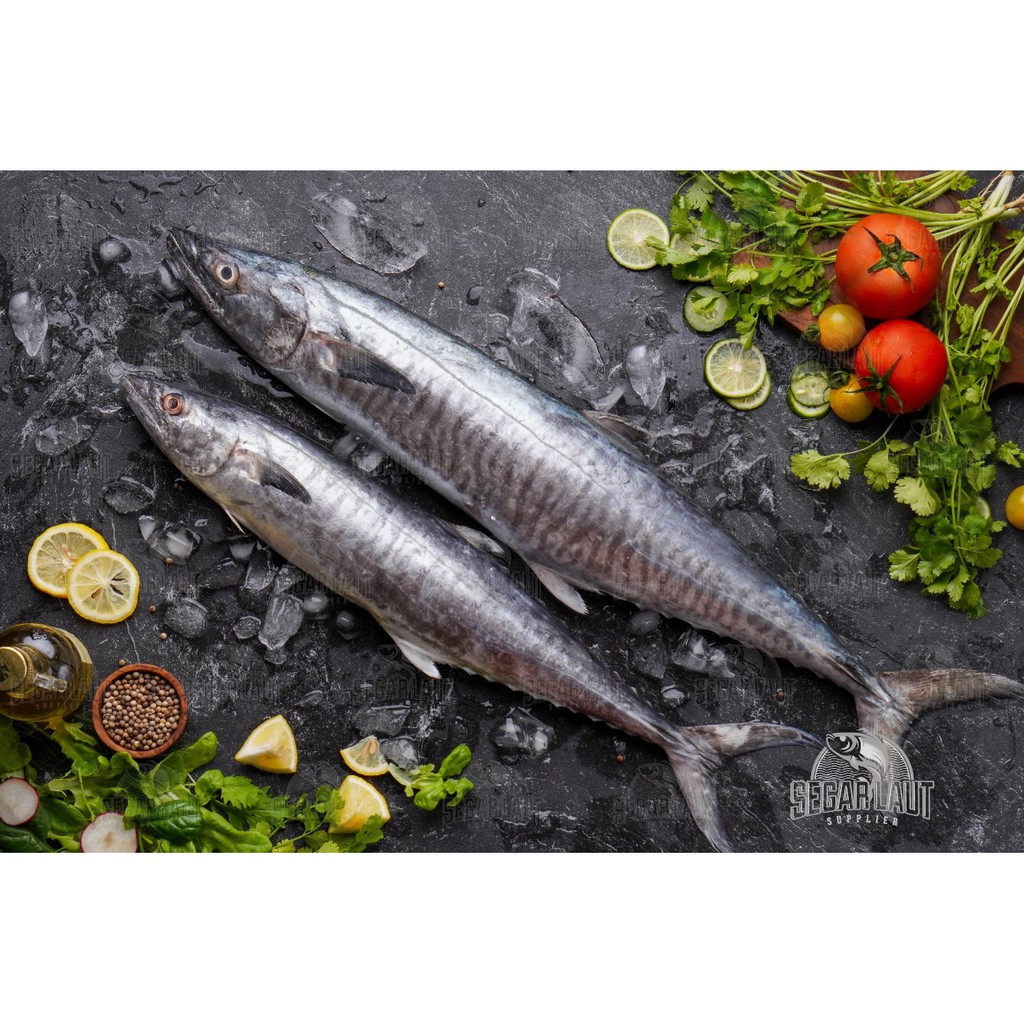 Jual IKAN TENGGIRI | SPANISH MACKEREL | FRESH FROZEN & SEGAR | Shopee ...