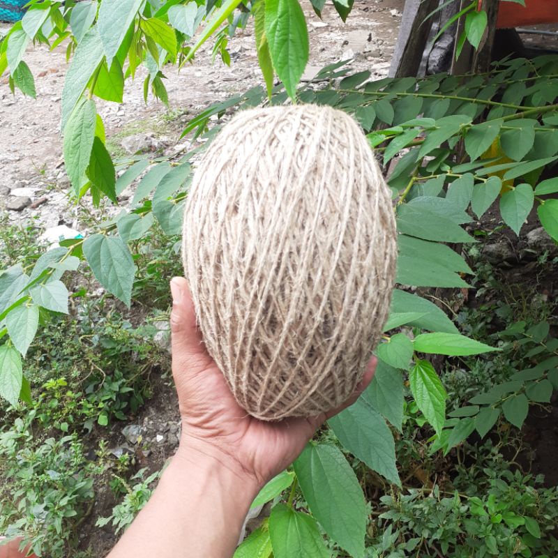 Jual tali goni tali rami kecil 2mm 2ply 250 meter | Shopee Indonesia