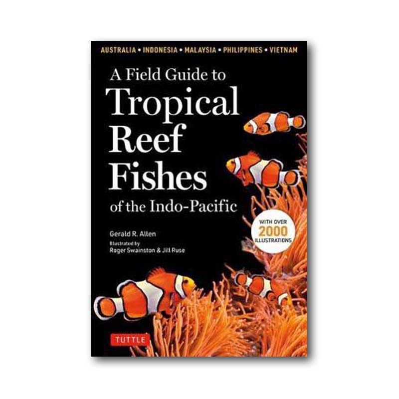 Jual A Field Guide to Tropical Reef Fishes of the Indo-Pacific: C ...