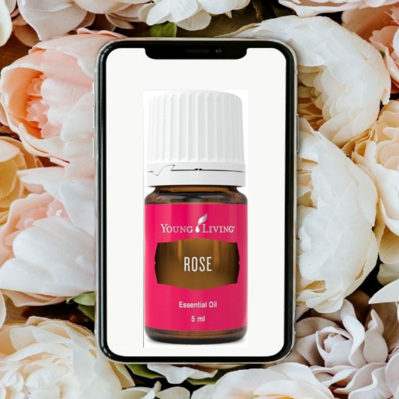 Jual Rose OiL YL 5ML | Shopee Indonesia