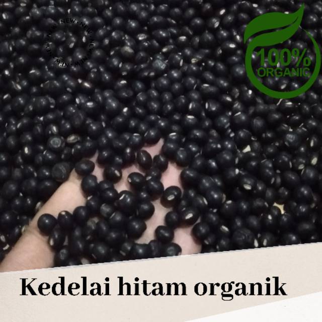 Jual Kedelai hitam / Tolang Lebui / Undis 250gr | Shopee Indonesia