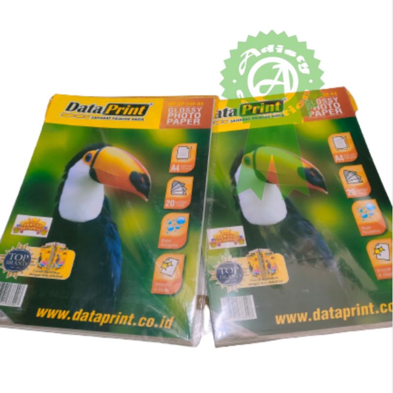 Jual Kertas Photo / Foto Dataprint A4 230gsm SMOOTH & GLOSSY | Shopee ...