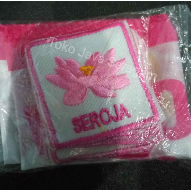 Jual Bet 1 Set Tanda Regu & Bendera Bunga Buah Tumbuhan Pramuka Putri ...