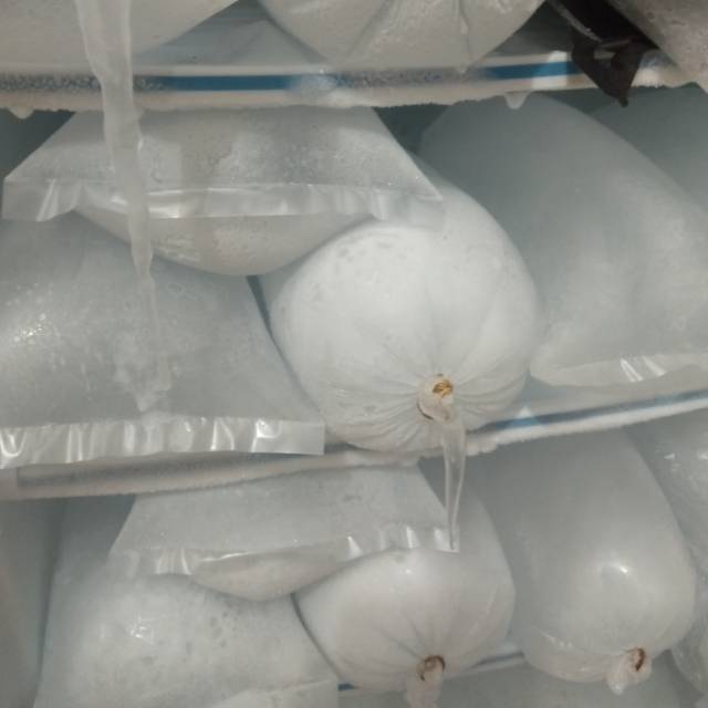 Jual Es batu rumahan ukuran plastik 1kg murah kusus gojek | Shopee ...
