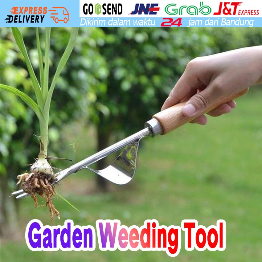 Jual Multifungsi Alat Pencabut Rumput Liar Manual Bahan Baja Dengan ...