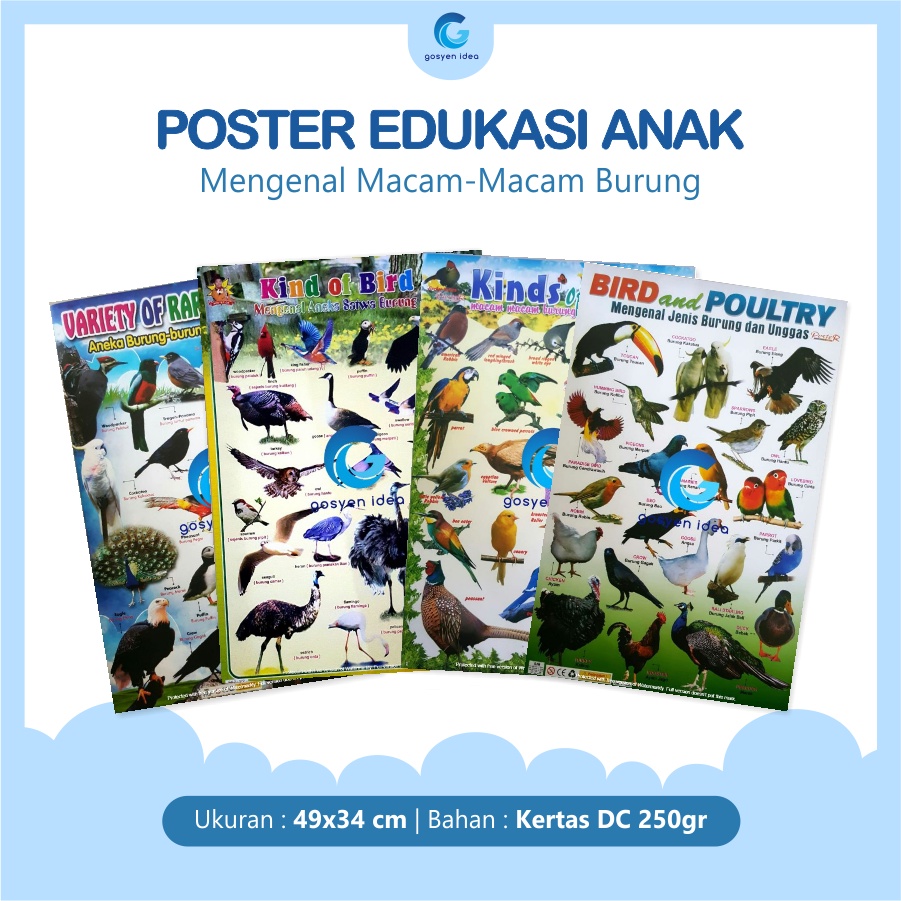 Jual Poster Pendidikan Edukasi Anak Belajar Aneka Binatang Burung ...