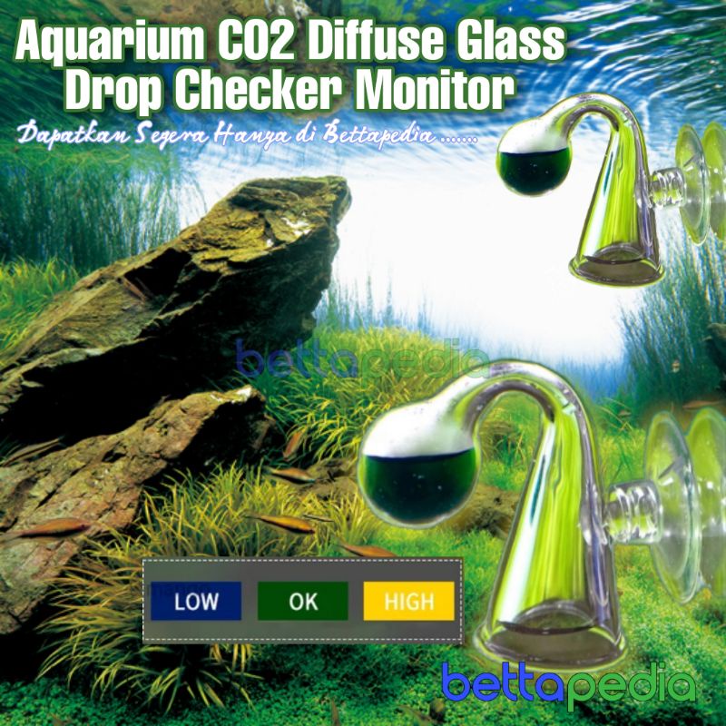 Jual Indikator Co2 Aquascape Aquarium CO2 Glass Drop Checker Monitor ...