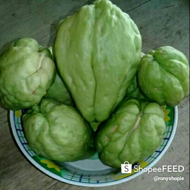 Jual LABU SIYEM WALUH SIYEM LEJET MUDA FRES SEGAR 1KG | Shopee Indonesia