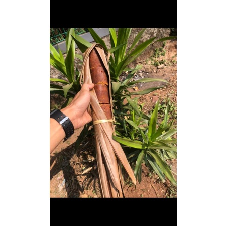 Jual gula aren/gula aren asli 700gram/ bungkus daun | Shopee Indonesia