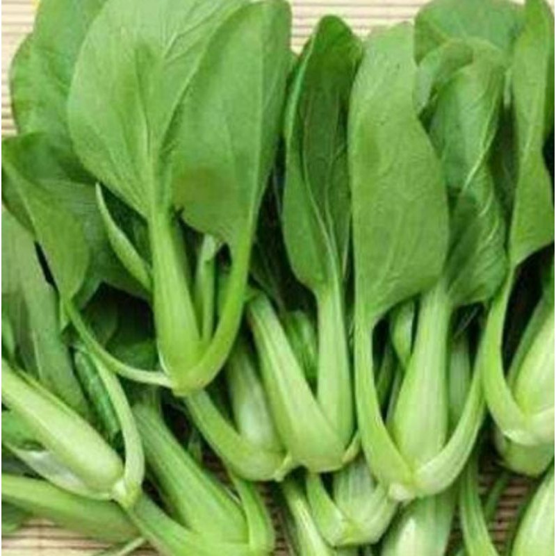 Jual SAYUR POKCAY SEGAR,FRES/500GRM | Shopee Indonesia
