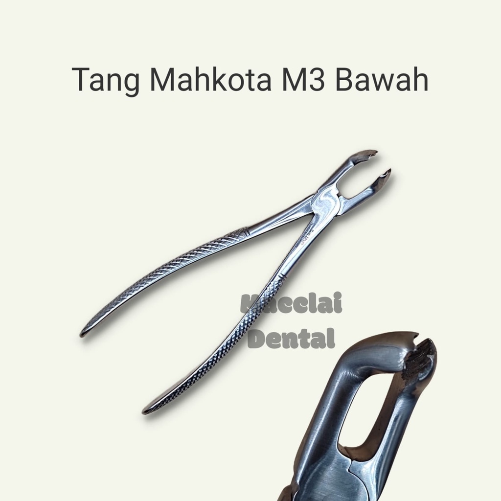 Jual DENTAL TANG CABUT GIGI DEWASA ECER / PER PCS TOOTH FORCEP SATUAN ...