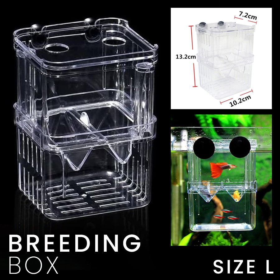 Jual Breeding Box 2 Tingkat Kotak Tempat Penetasan Ikan Guppy Molly ...