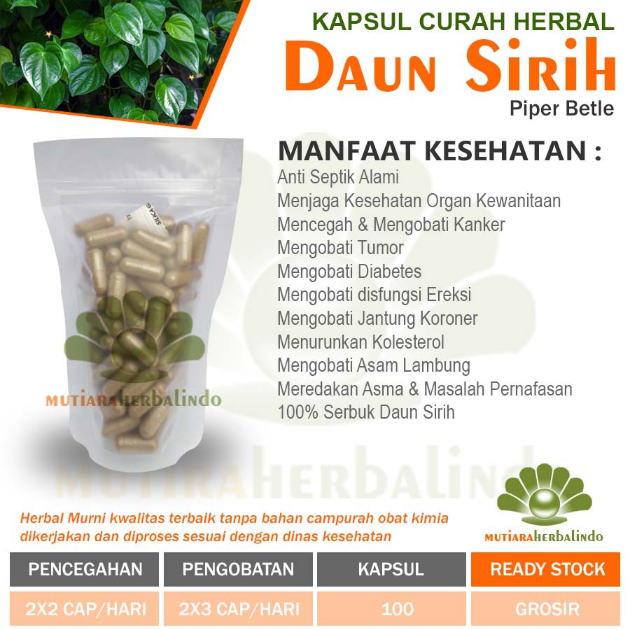 Jual DAUN SIRIH 100 Kapsul Herbal Antiseptik Prostat Sendi Lambung ...
