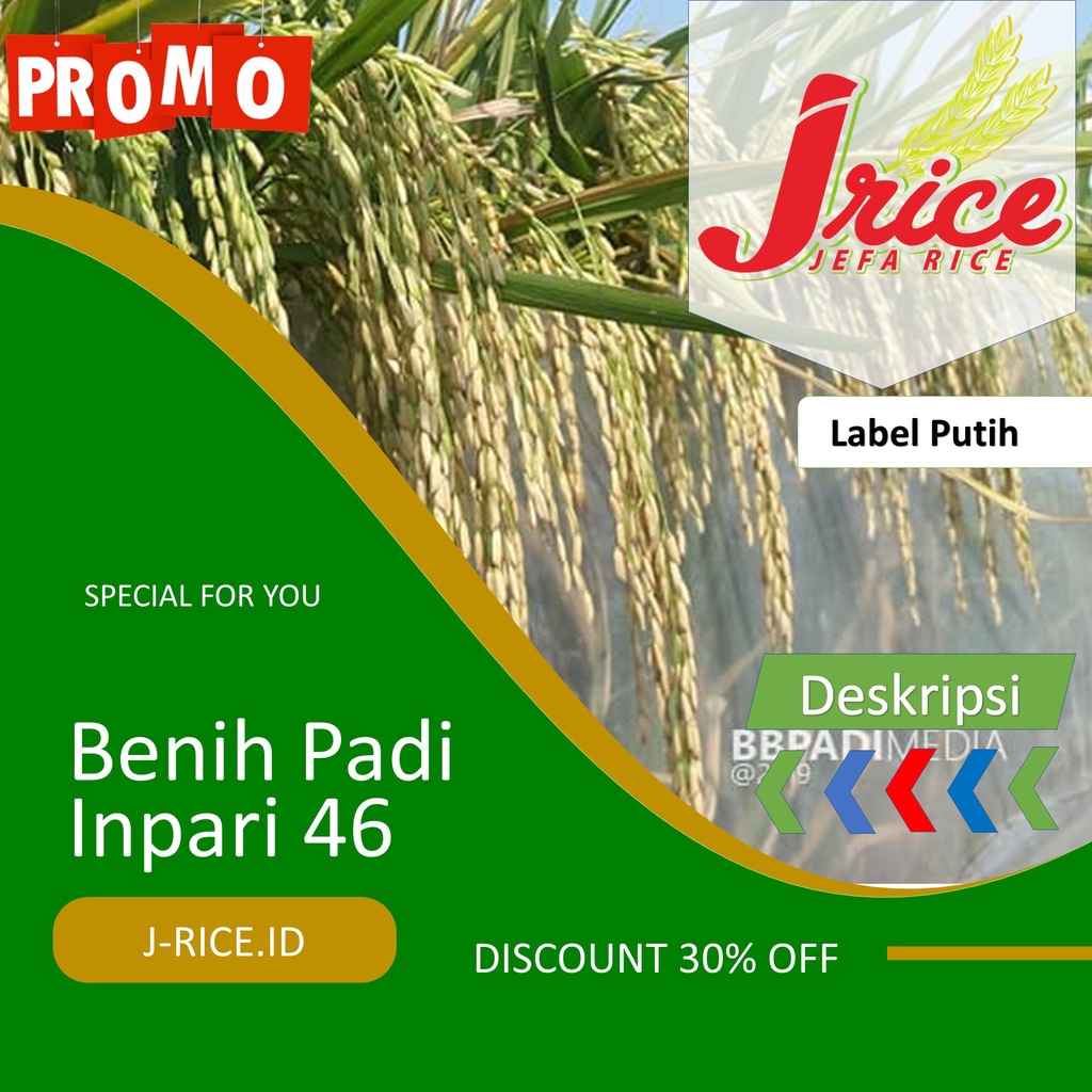 Jual BENIH PADI INPARI 46 LABEL PUTIH BIBIT PADI 5KG | Shopee Indonesia