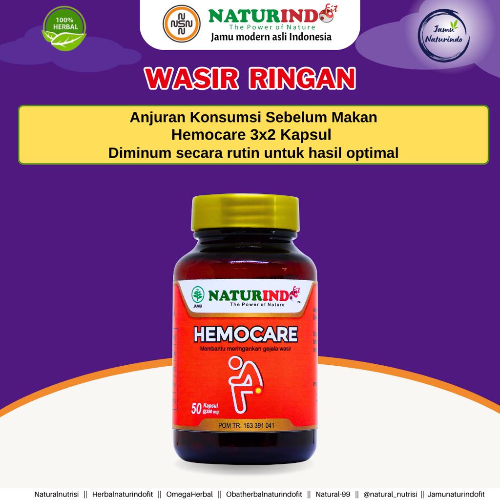 Jual Obat Wasir Ambeien Benjolan Bengkak Ambeyen BAB Berdarah Herbal Alami Daun Ungu Hemocare ...