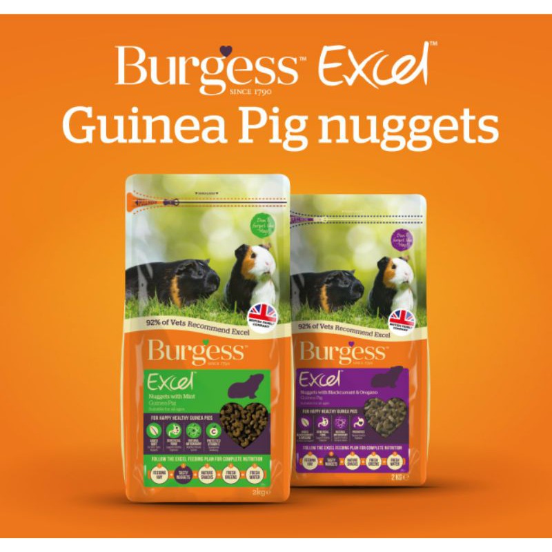 Jual Burgess Excel Guinea Pig Nuggets 1.5 kg | Shopee Indonesia