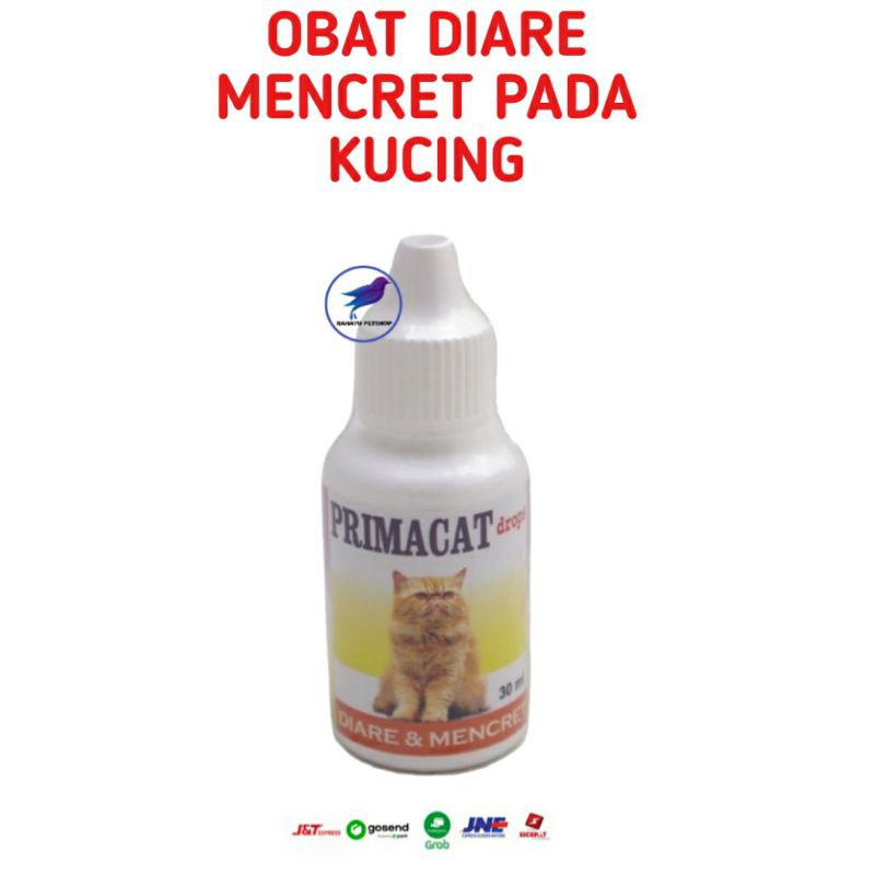 Jual PRIMACAT DROP OBAT DIARE PADA KUCING 30ML | Shopee Indonesia