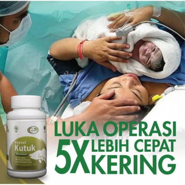 Jual KAPSUL KUTUK PREMIUM 100%ORIGINAL | Shopee Indonesia