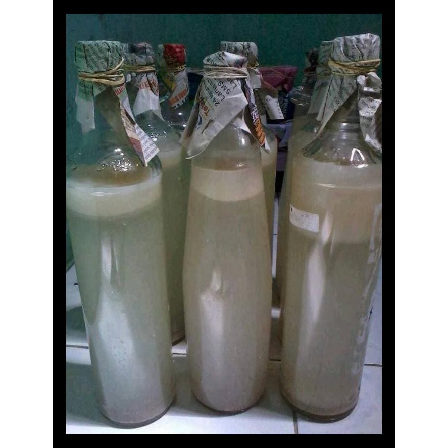 Jual BIBIT NATA DE COCO, STARTER || volume 500ml, Acetobacter Xylinum ...
