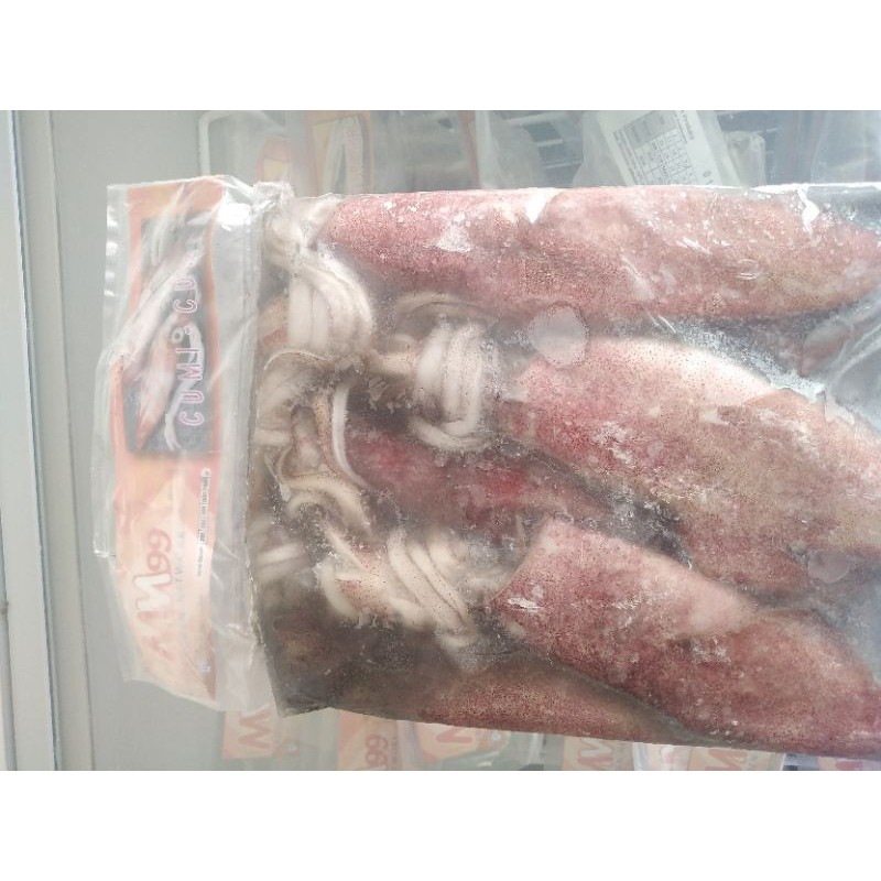 Jual cumi Loligo frozen 1 kg | Shopee Indonesia