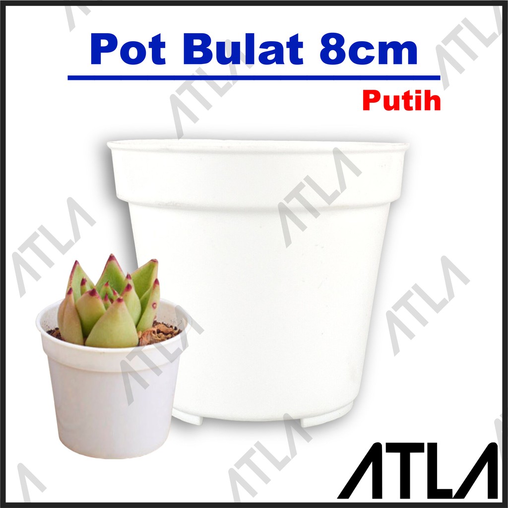 Jual Pot Bunga Plastik 8 cm Putih Bulat Wadah Tanaman Hias Mini 8cm ...