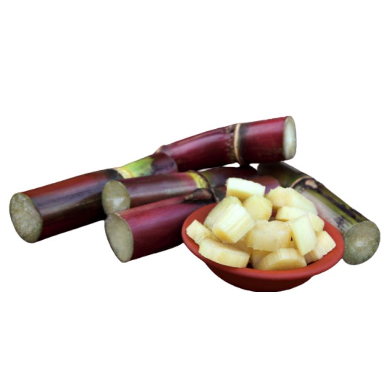 Jual Tebu merah wulung segar 1kg tebu hitam / ireng bisa bibit | Shopee ...