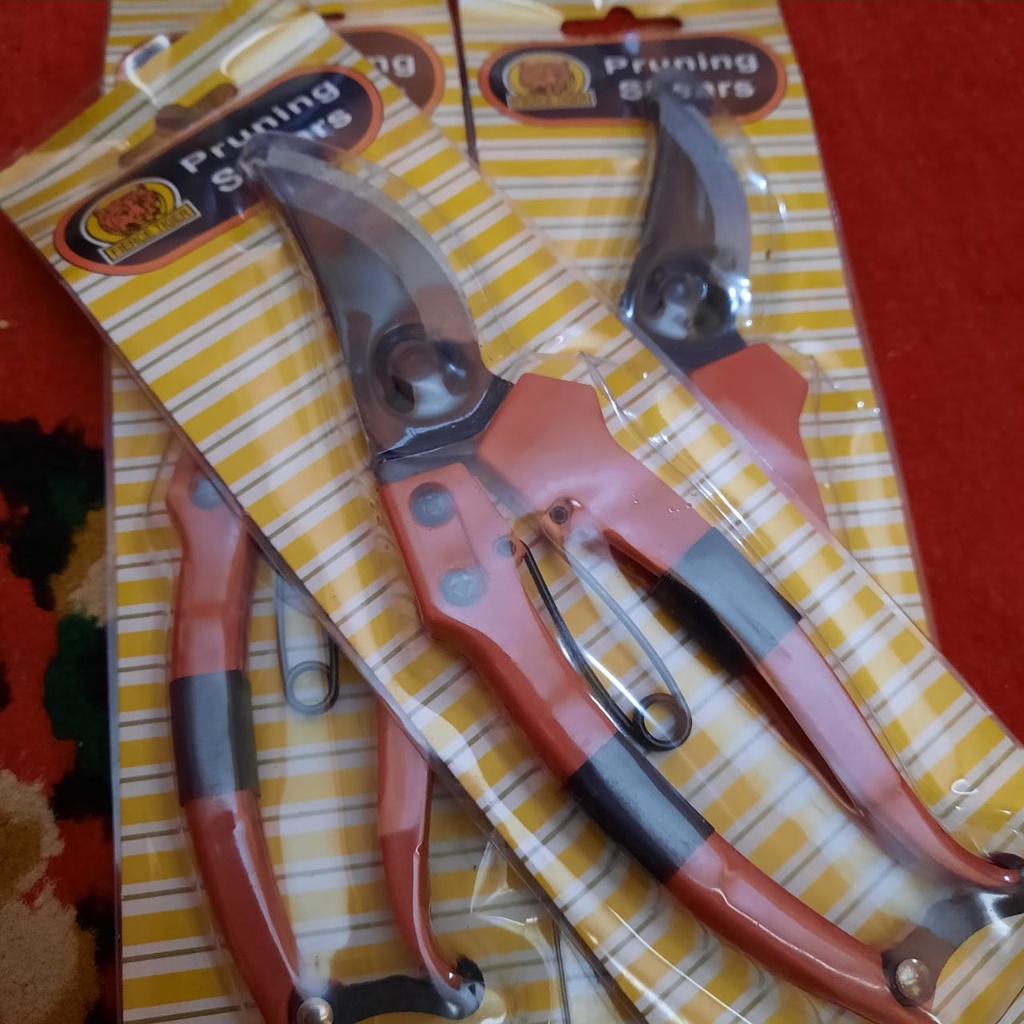 Jual Gunting Ranting daun tanaman bunga bonsai Fierce Tiger Pruning ...