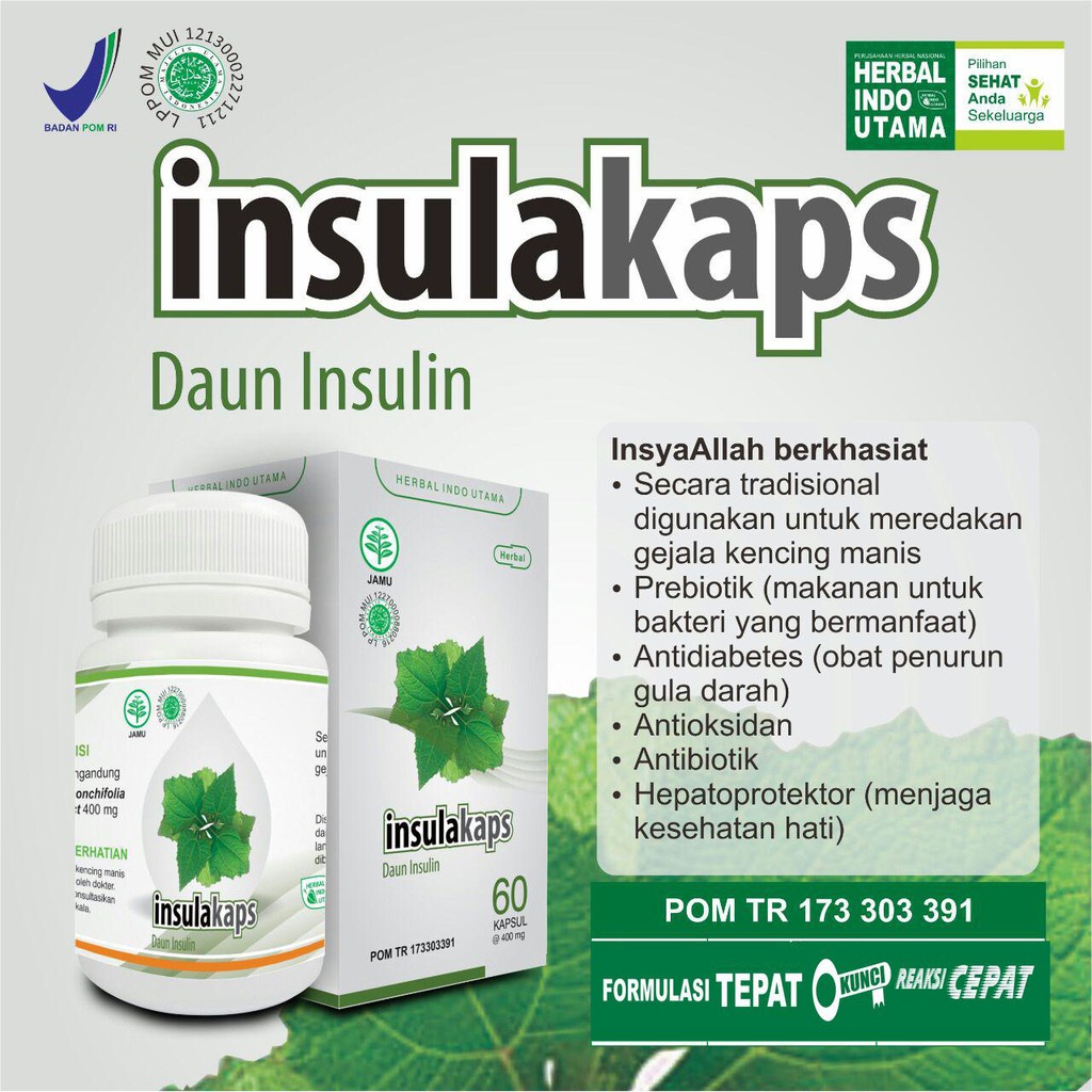 Jual KAPSUL DAUN INSULIN OBAT HERBAL DIABETES INSULAKAPS | Shopee Indonesia