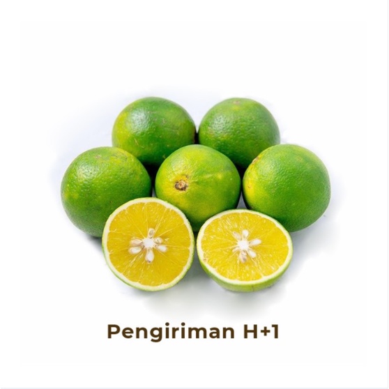 Jual Jeruk Baby Segar | Shopee Indonesia