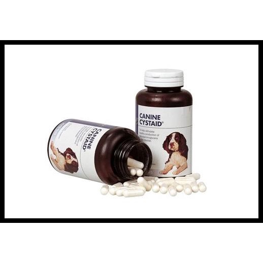 Jual Canine Cystaid-Vetplus / Obat Saluran Kencing Anjing | Shopee ...