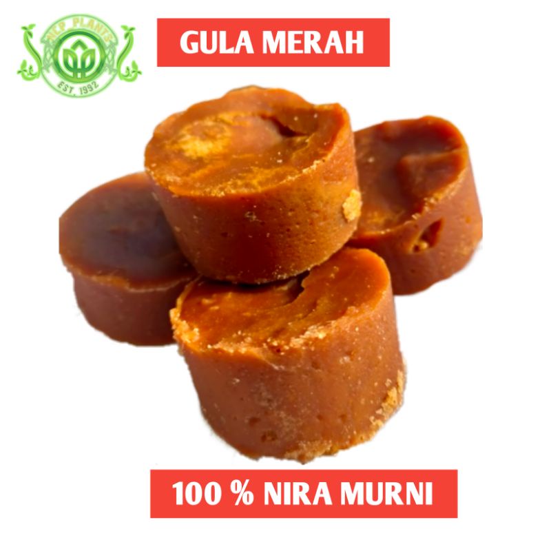 Jual Gula Merah Gula Jawa | Shopee Indonesia