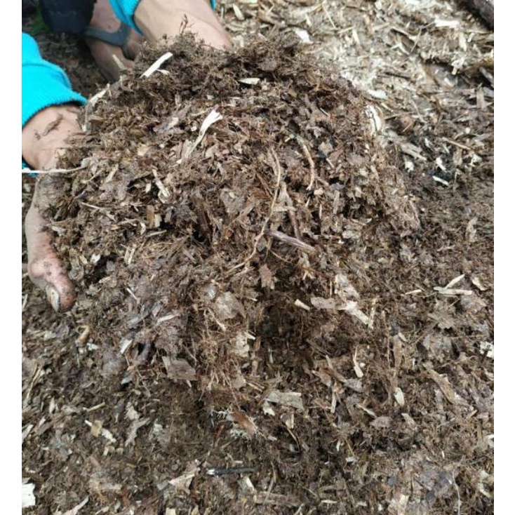 Jual HUMUS BAMBU - MEDIA TANAM FERMENTASI DAUN BAMBU SIAP PAKAI ...