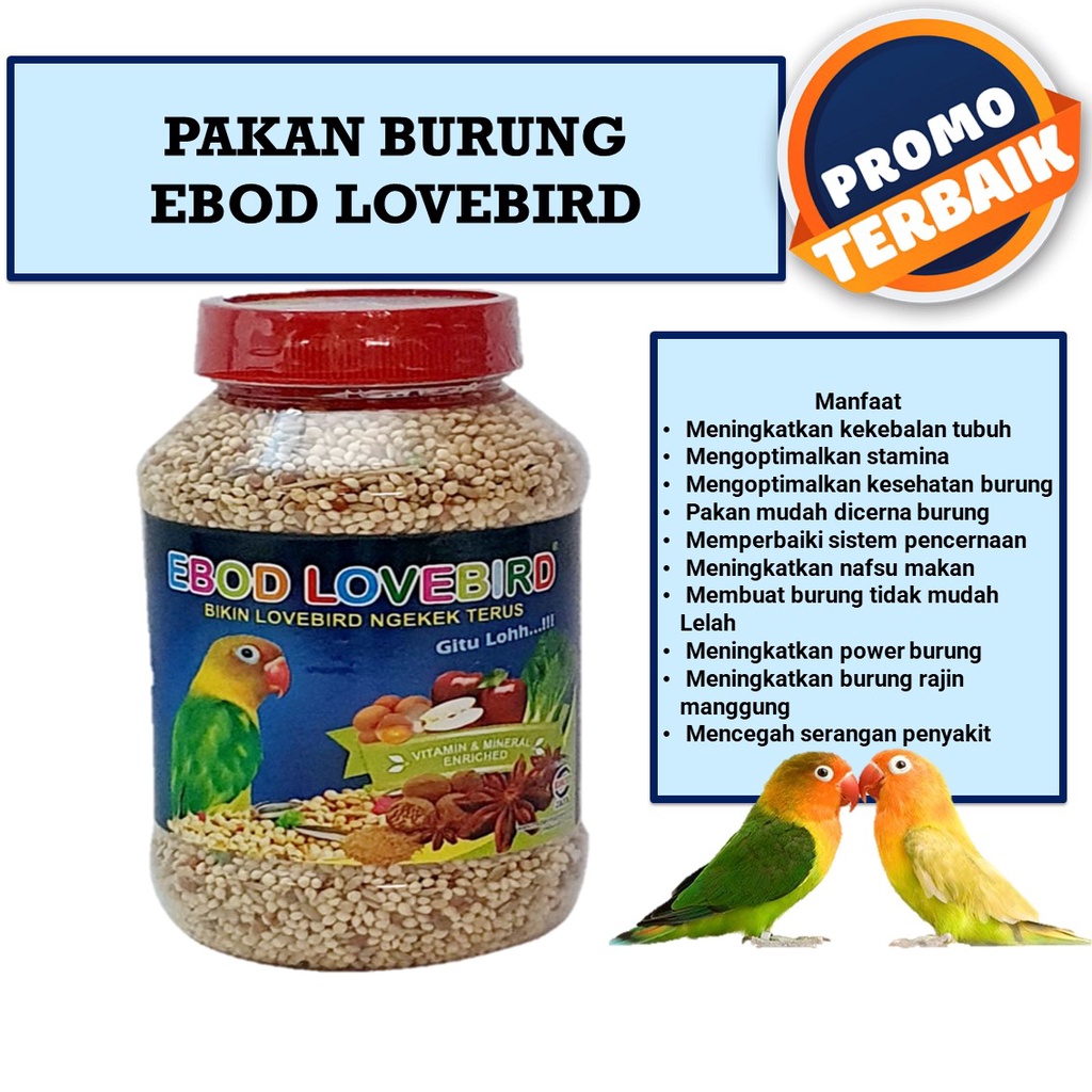 Jual Pakan Burung Ebod Lovebird Kemasan Toples Pakan burung lomba dan ...