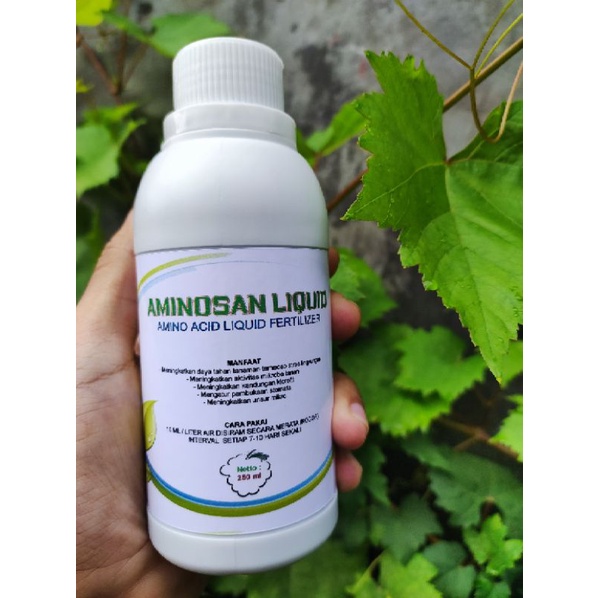 Jual Aminosan cair, Aminosan liquid, Aminosan Pupuk anggur | Shopee ...