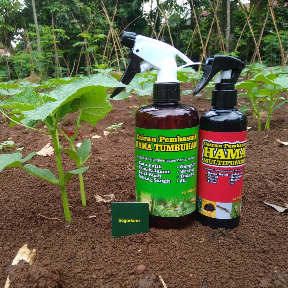 Jual (PAKET HEMAT) Racun Rumput | Racun Hama Tumbuhan | Kutu Putih ...