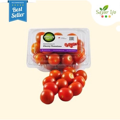 Jual Tomat Cherry Hydro Hidroponik 250 Gram / Pack Amazing Farm Fresh Grade A Hydroponic Red ...
