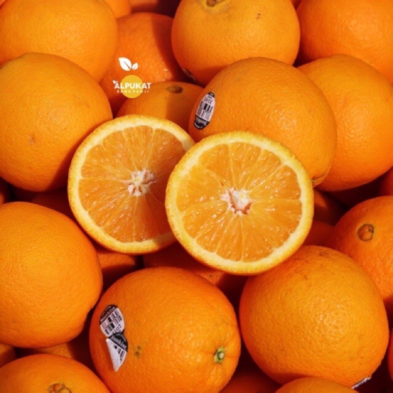 Jual Navel Oranges Australia (4 buah) | Shopee Indonesia
