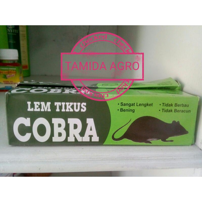 Jual Lem Tikus Cobra Lengket Bening Tidak Bau Tidak Beracun | Shopee ...