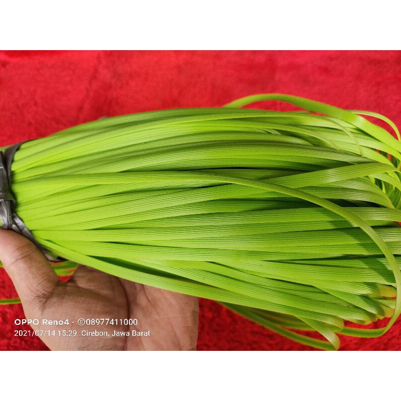Jual Iratan ikatan bahan rattan rotan sintetis harga 1kg beli banyak ...