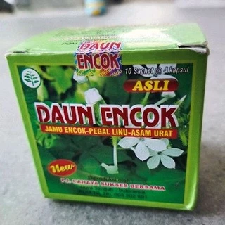 Jual Daun Encok Terlengkap & Harga Terbaru September 2025 | Shopee ...