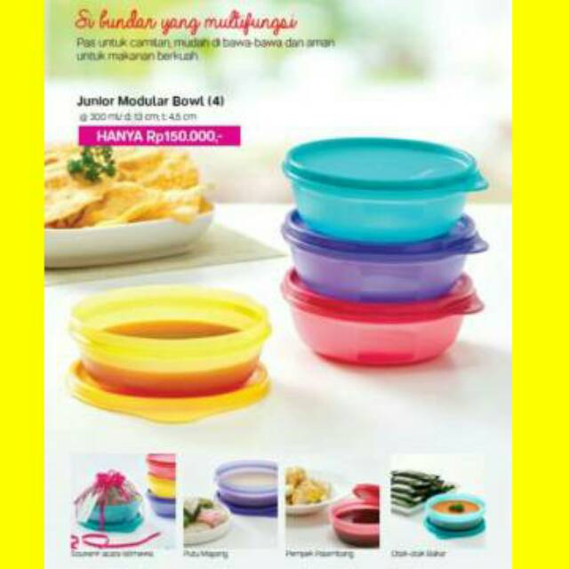 Jual Junior modular bowl set 300ml(4pcs) | Shopee Indonesia