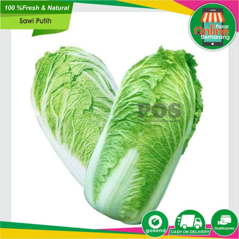 Jual Sayur Sayuran Sawi Putih / Sayur Selobor / Sayur Slobor / Sayuran ...
