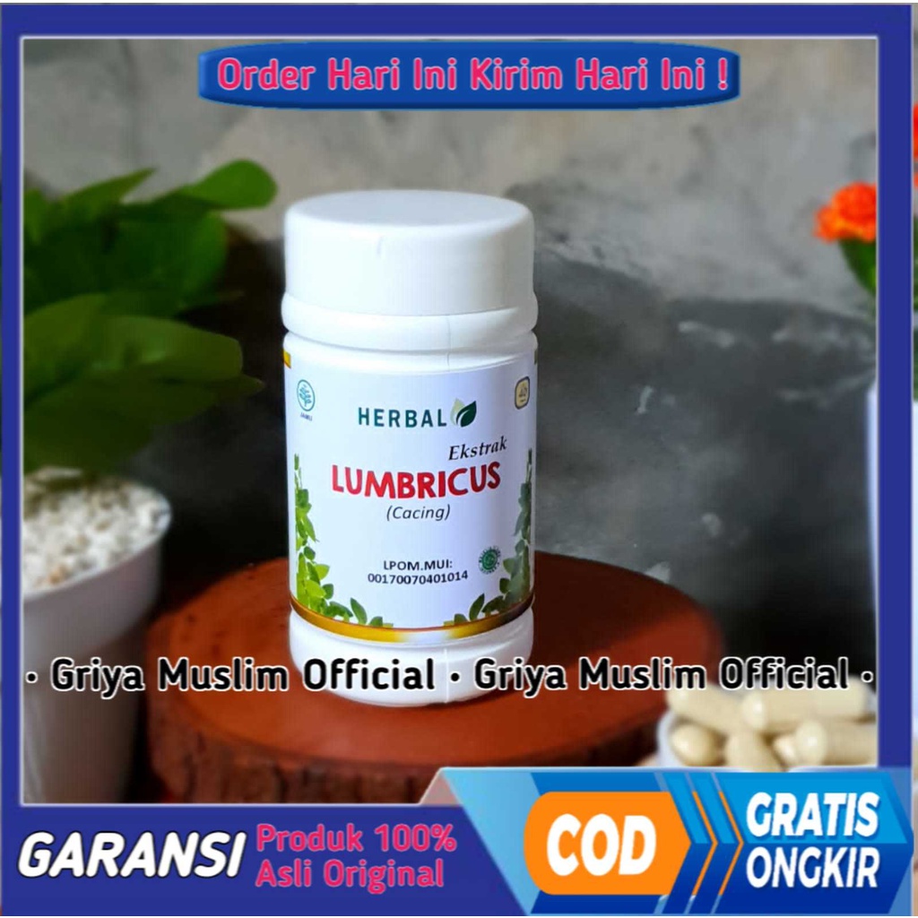 Jual Kapsul Ekstrak Cacing Tanah 40 Kapsul - Obat Tifus / Tipes Herbal ...